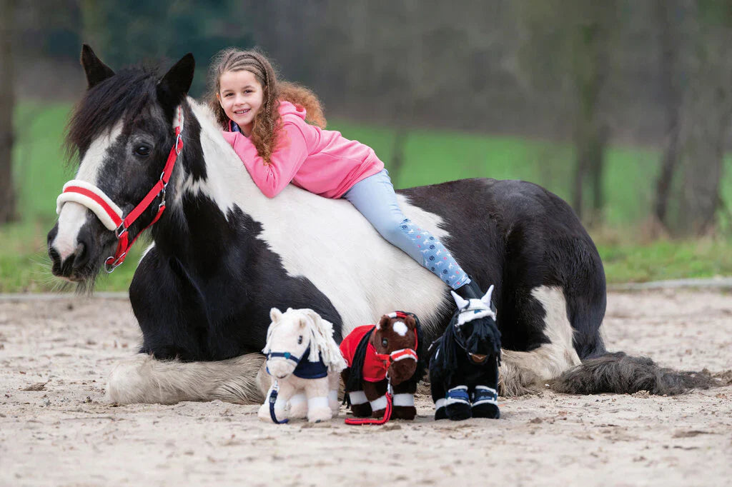 Cuddle Pony